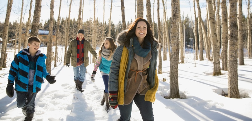 Home - Georges P. Vanier School